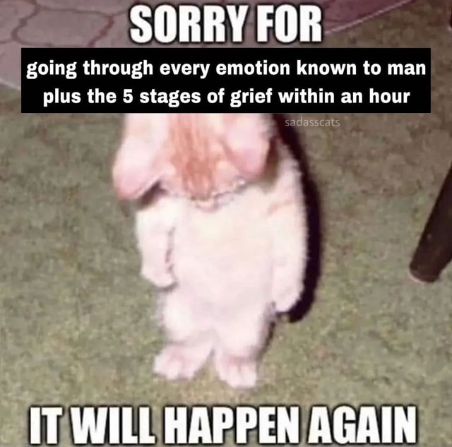 SORRY FOR going through every emotion known to man plus the 5 stages of ...