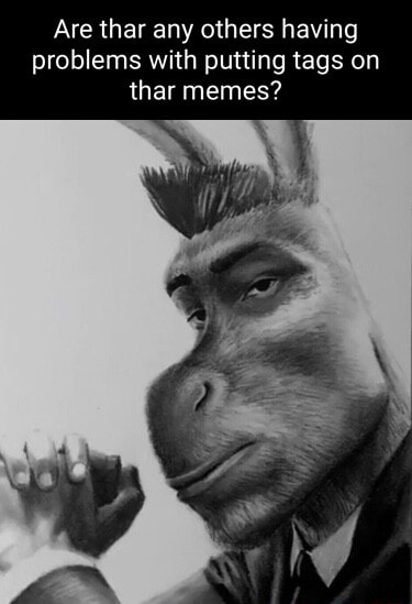Are thar any others having problems with putting tags on thar memes ...