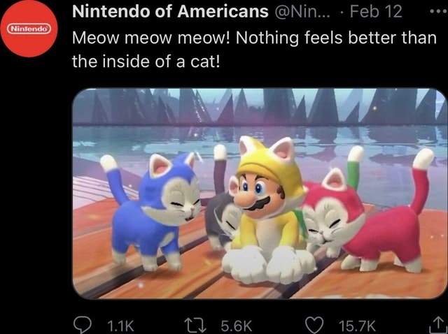 Nintendo of Americans @Nin... Feb 12 Meow meow meow! Nothing feels ...
