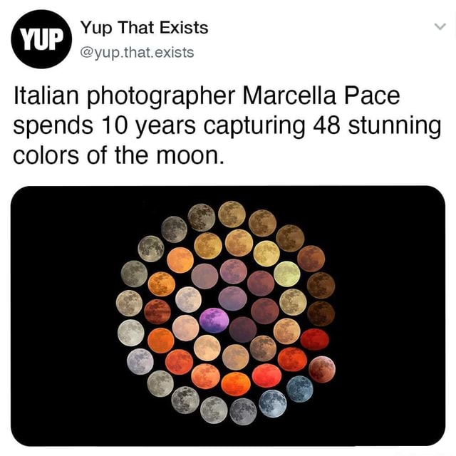 Yup That Exists Italian photographer Marcella Pace spends 10 years ...