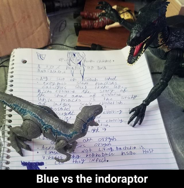 Of Blue vs the indoraptor - Blue vs the indoraptor - iFunny