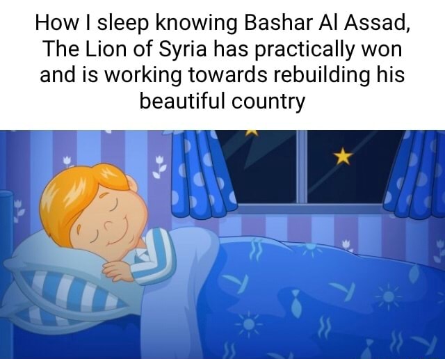 How I sleep knowing Bashar Al Assad, The Lion of Syria has practically ...