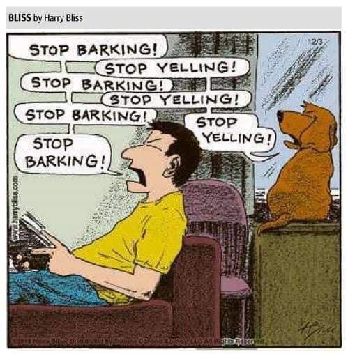 That's Funny !!🐶🐾🐾 Credit to Artist - BLISS by Harry Bliss, STOP ...