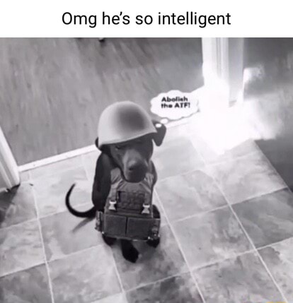 Omg he's so intelligent - iFunny