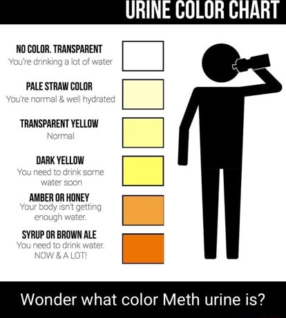 URINE COLOR CHART NO COLOR. TRANSPARENT PALE STRAW COLOR 'TRANSPARENT ...