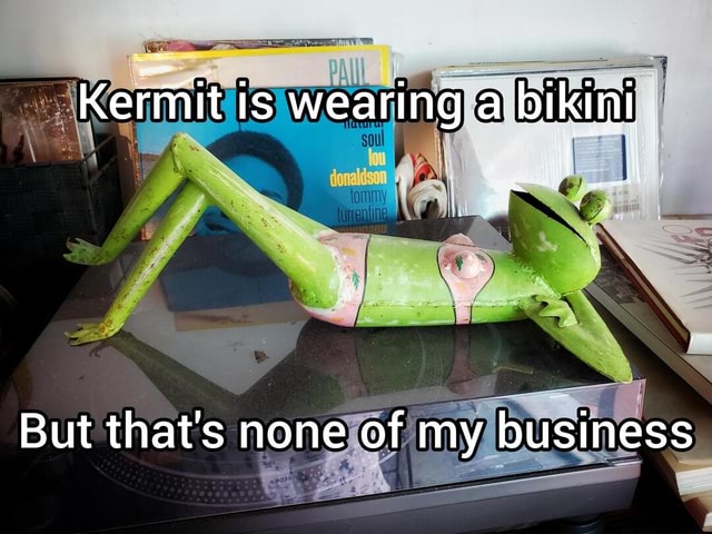 Whatever makes you happy - Kermit is wearing a bikini But that's none ...