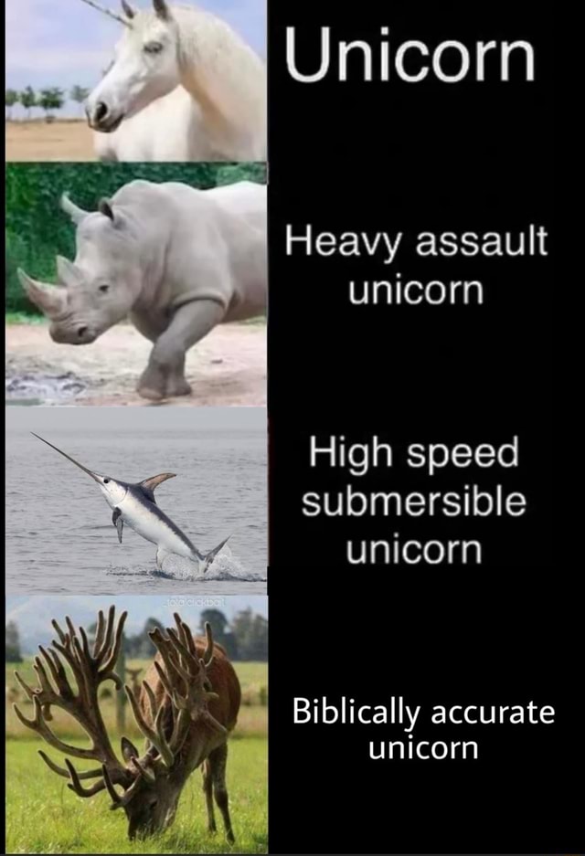Unicorn Heavy assault unicorn High speed submersible unicorn Biblically ...