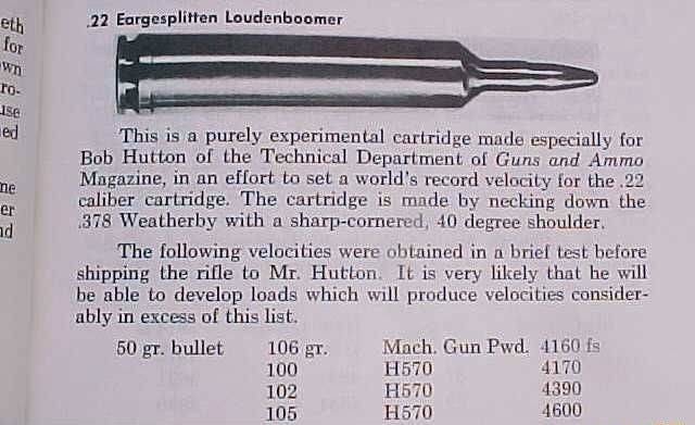 Cursed gun dump - for ed ne er id. 22 Eargesplitten Loudenboomer This ...