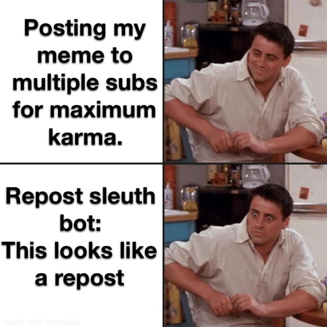 Meme to multiple subs for maximum I karma. bot: This looks like a ...