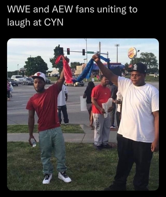 WWE and AEW fans uniting to laugh at CYN - iFunny