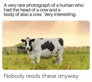 A very rare photograph of a human who had the head of a cow and a body ...