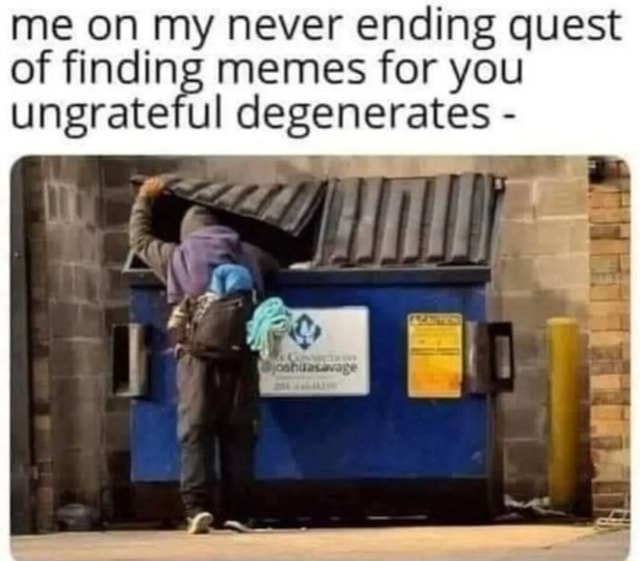 Me on my never ending quest of finding memes for you ungrateful ...
