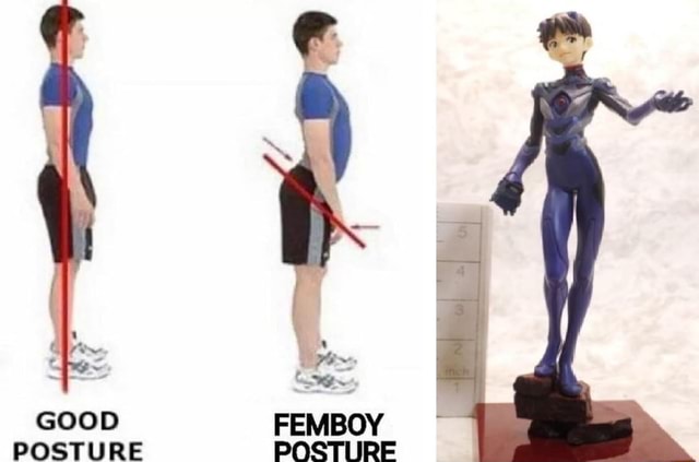 GOOD FEMBOY POSTURE POSTURE - iFunny