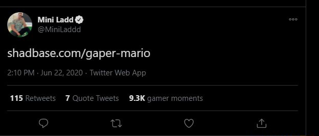 Mini Ladd @ @Miniladdd 115 Retweets 7 Quote Tweets 9.3K gamer moments ...