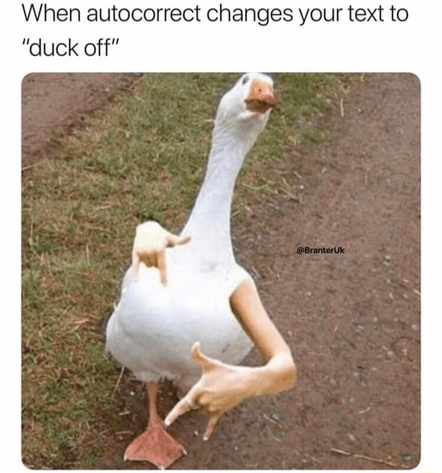 When autocorrect changes your text to "duck off" - iFunny