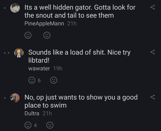 Its a well hidden gator. Gotta look for the snout and tail to see them ...