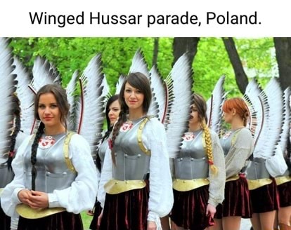 Winged Hussar parade, Poland. - iFunny