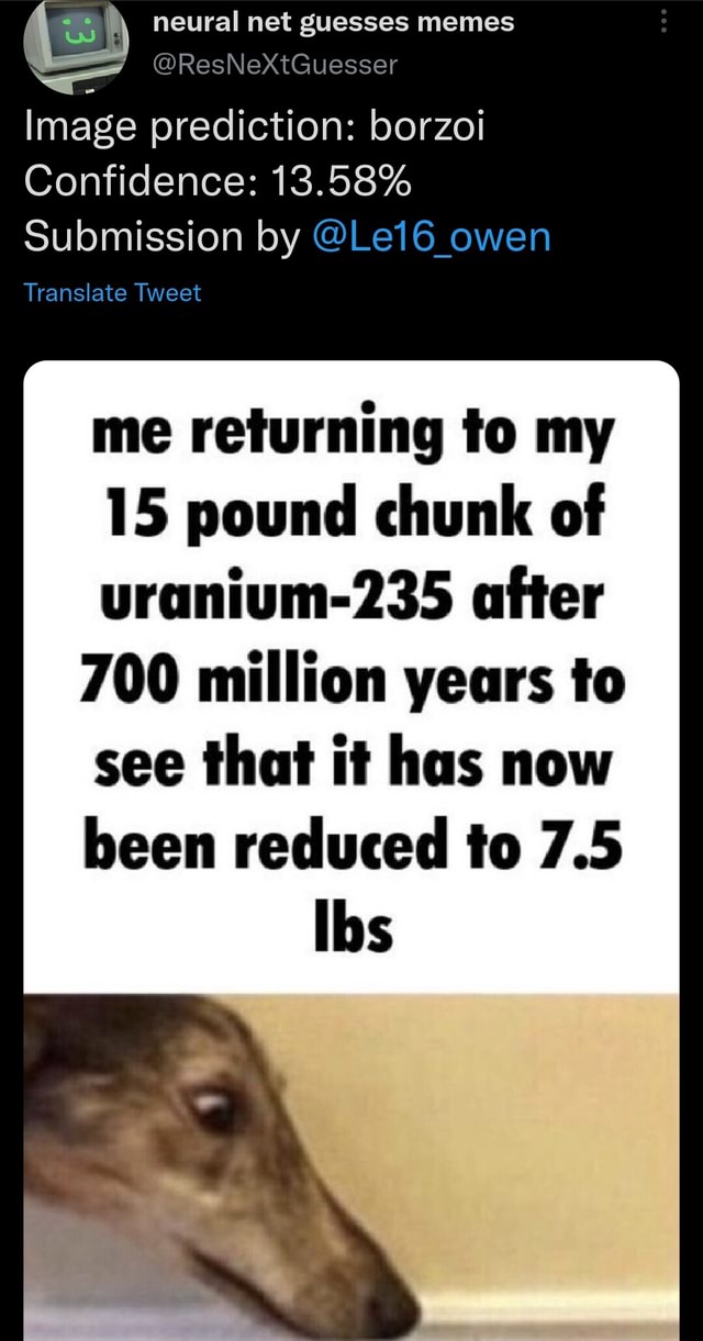 I neural net guesses memes @ResNeXtGuesser Image prediction: borzoi ...