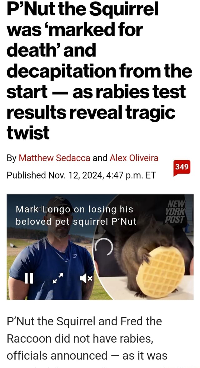 P'Nut the Squirrel was 'marked for death' and decapitation from the ...