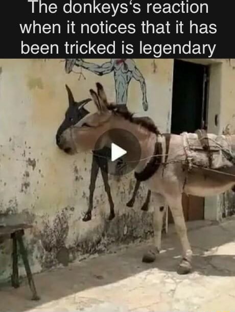 The donkeys reaction when it notices that it has been tricked is ...