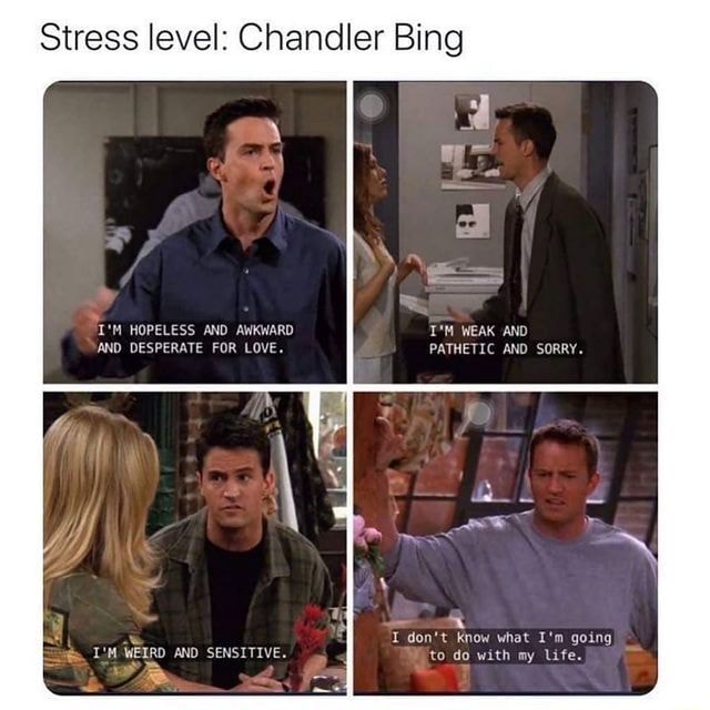 Stress level: Chandler Bit ing T'M HOPELESS AND AWKWARD T'M WEAK AND ...