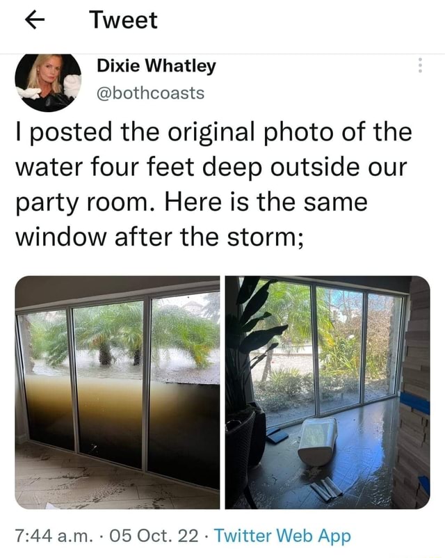 Tweet Dixie Whatley @bothcoasts I posted the original photo of the ...