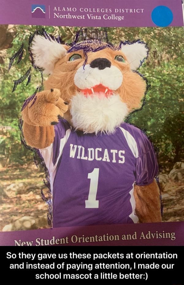 A I ALAMO COLLEGES msnucT Northwest Vista College ﬁew Student ...