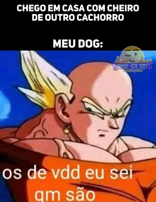 CHEGO EM CASA COM CHEIRO DE OUTRO CACHORRO MEU DOG: ES os de vdd eu sei ...