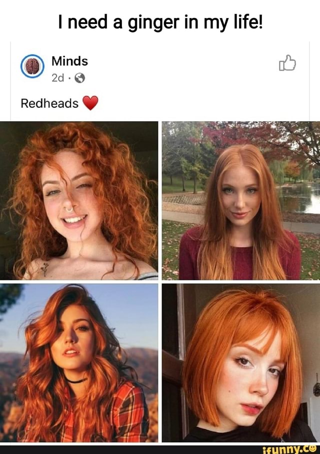 I need a ginger in my life! Minds Redheads - iFunny