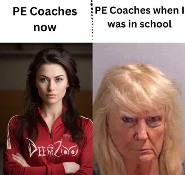 PE Coaches PE Coaches when I now was in school Van DD - iFunny