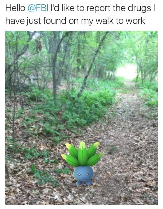 Hello @FBI I'd like to report the drugs I have just found on my walk to ...