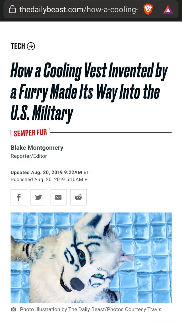 TECH How a Cooling Vest Invented by a Furry Made Its Way Into the US ...