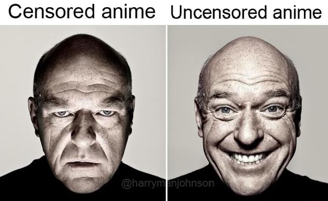 Censored anime Uncensored anime - iFunny