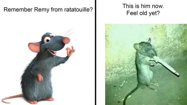 This is him now. Remember Remy from ratatouille? - iFunny