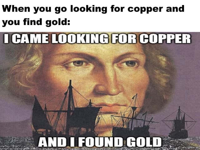 When you go looking for copper and you find gold: CAME LOOKING FOR ...