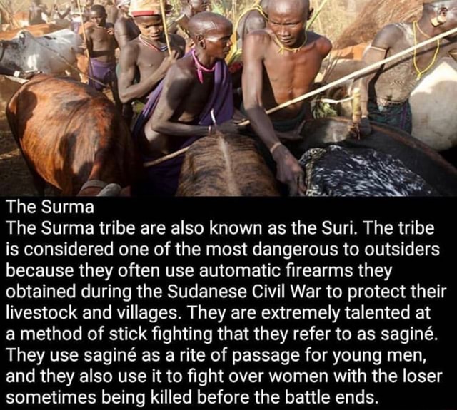 The Surma The Surma tribe are also known as the Suri. The tribe is ...