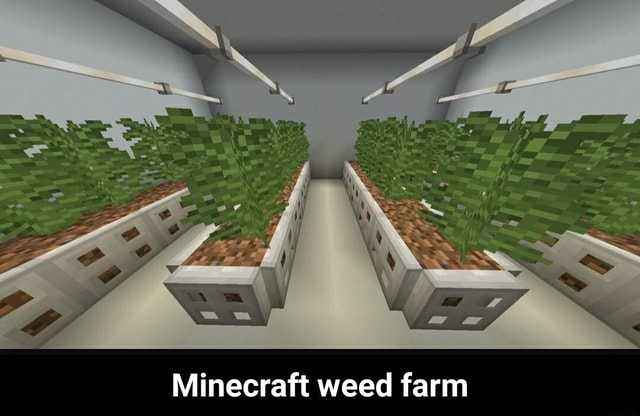 Minecraft weed farm - Minecraft weed farm - iFunny