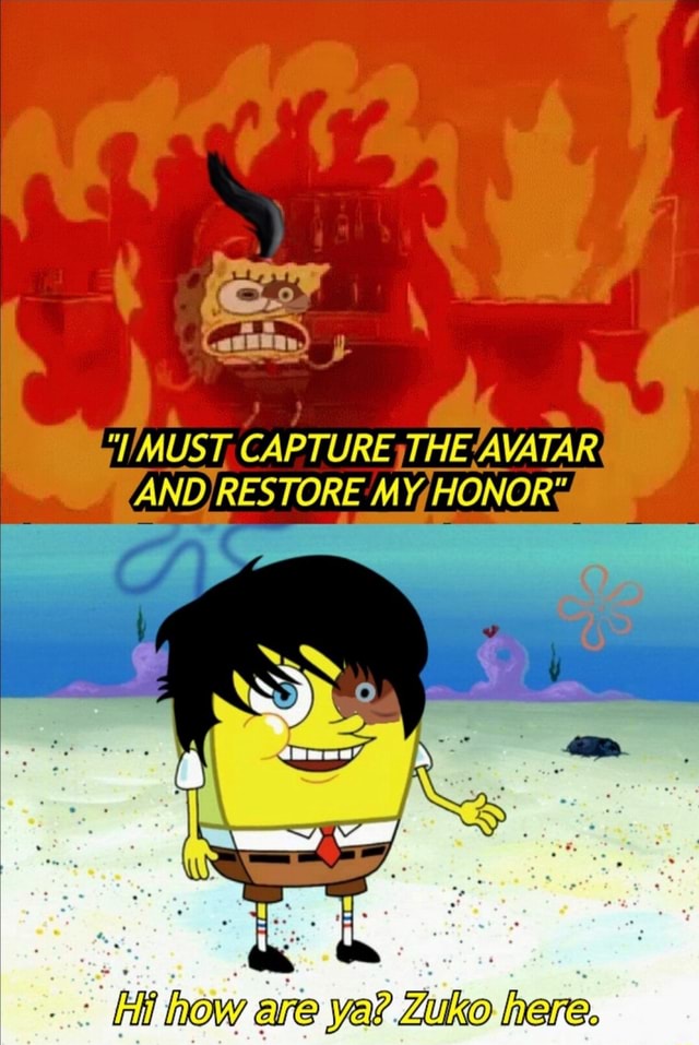 MUST CAPTURE THE AVATAR AND RESTORE MY HONOR" are ya? Zuko here. - iFunny