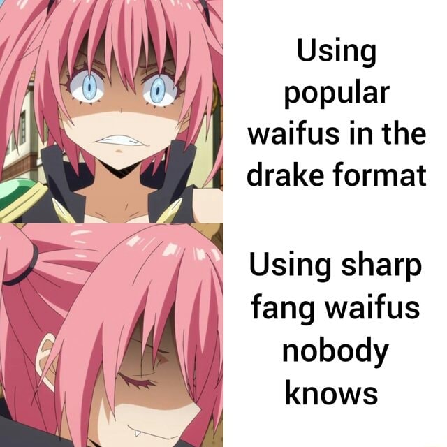Popular waifus in the drake format - iFunny