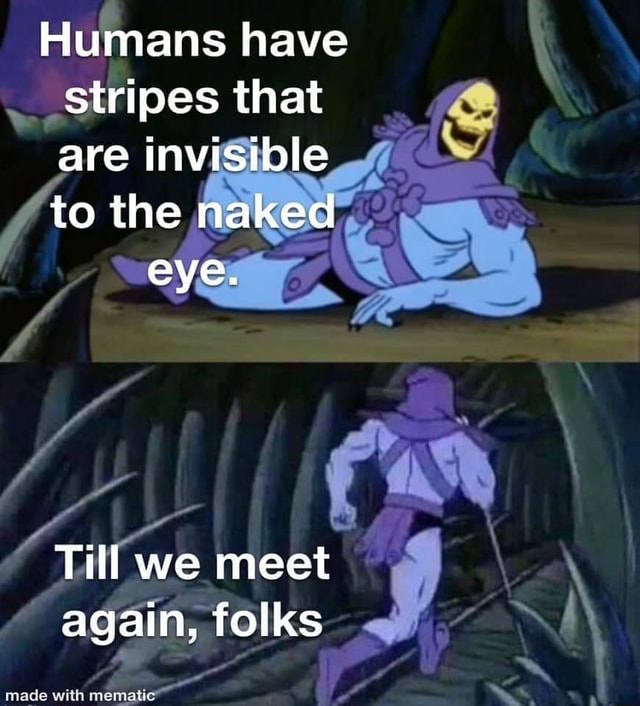 Humans have Stripes that are invisible to the naked eye. Till we meet ...