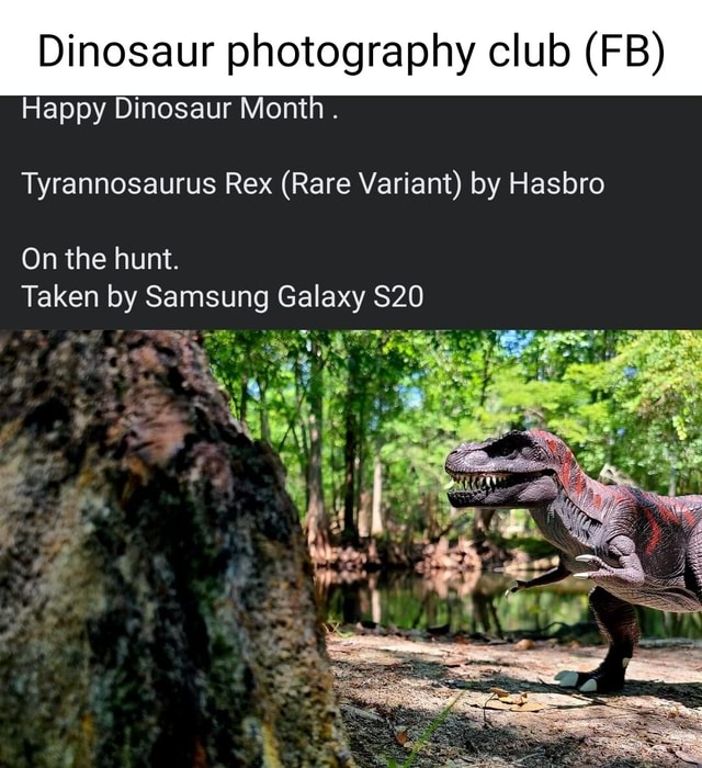 Dinosaur photography club (FB) Happy Dinosaur Month . Tyrannosaurus Rex ...
