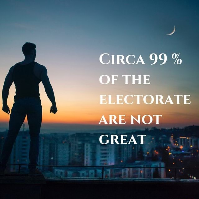 CIRCA 99 % OF THE ELECTORATE ARE NOT GREAT - iFunny