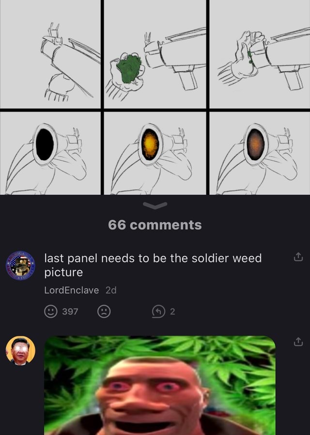66 comments last panel needs to be the soldier weed picture LordEnclave ...