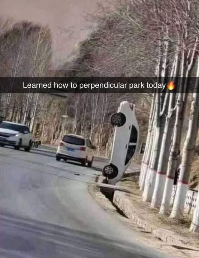 Learned how to perpendicular park tod - iFunny