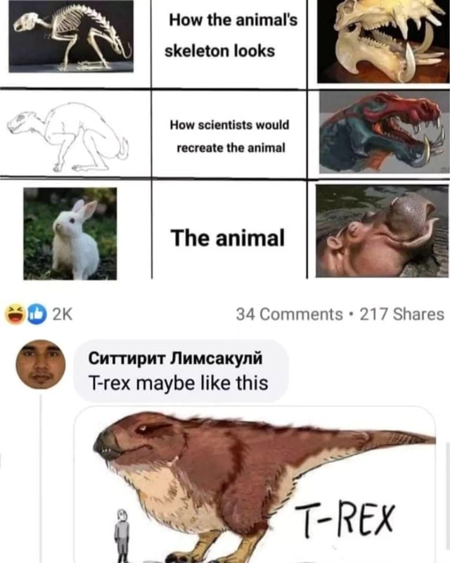 How the animal's skeleton looks How scientists would recreate the ...