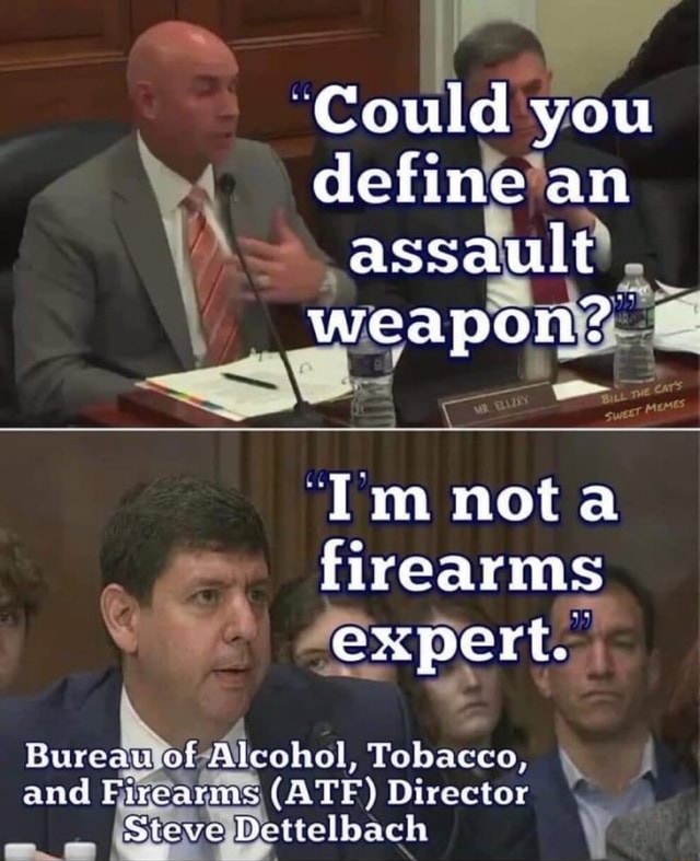 Could you define an assault weapon? 'Im MOt firearms expert. Bureau of ...