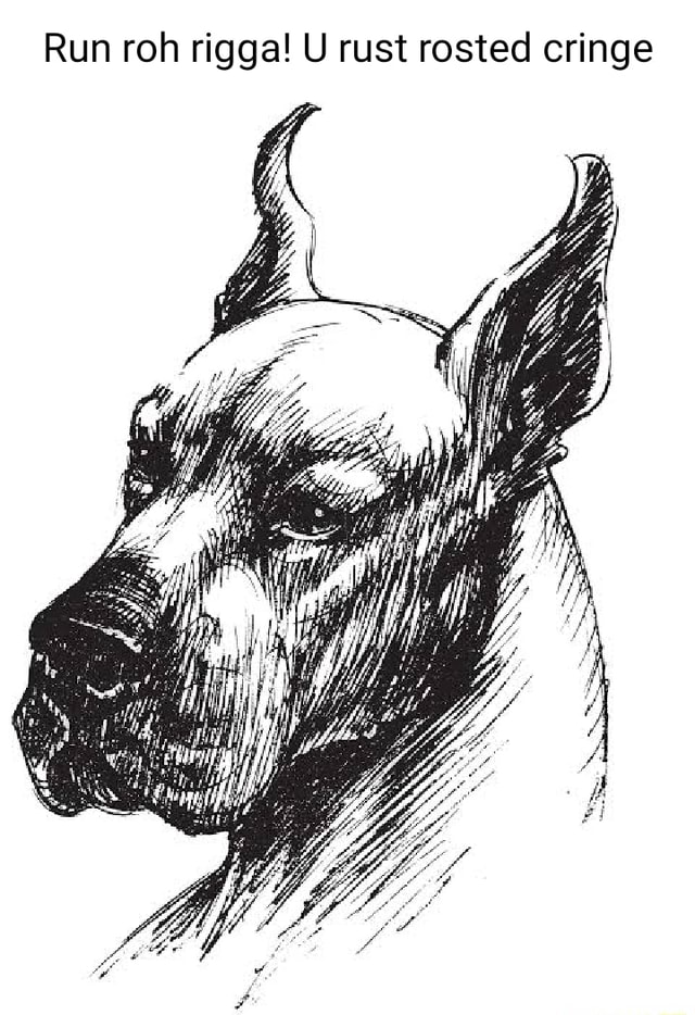 Run roh rigga! U rust rosted cringe - iFunny