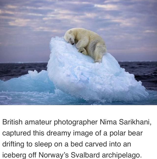 British amateur photographer Nima Sarikhani, captured this dreamy image ...