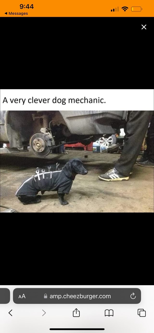 Messages A very clever dog mechanic. AA @ - iFunny