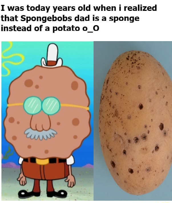 I was today years old when i realized that Spongebobs dad is a sponge ...